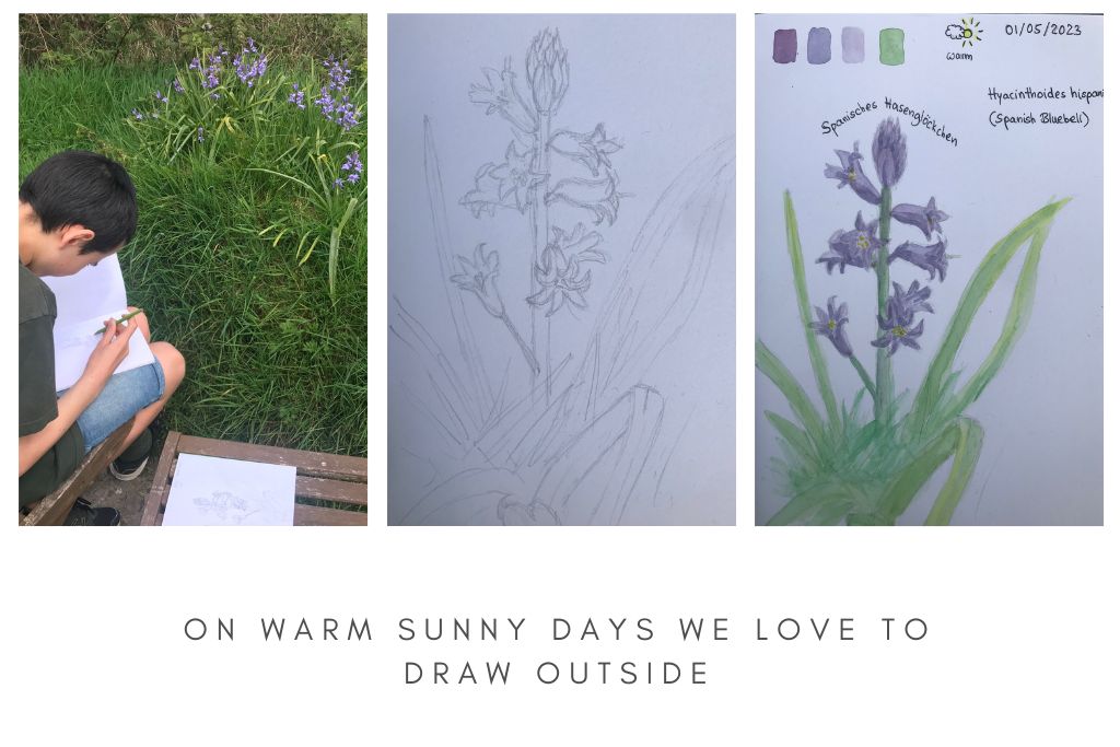 How to Start a Journal for Nature Study - The Wild Cherry Farm