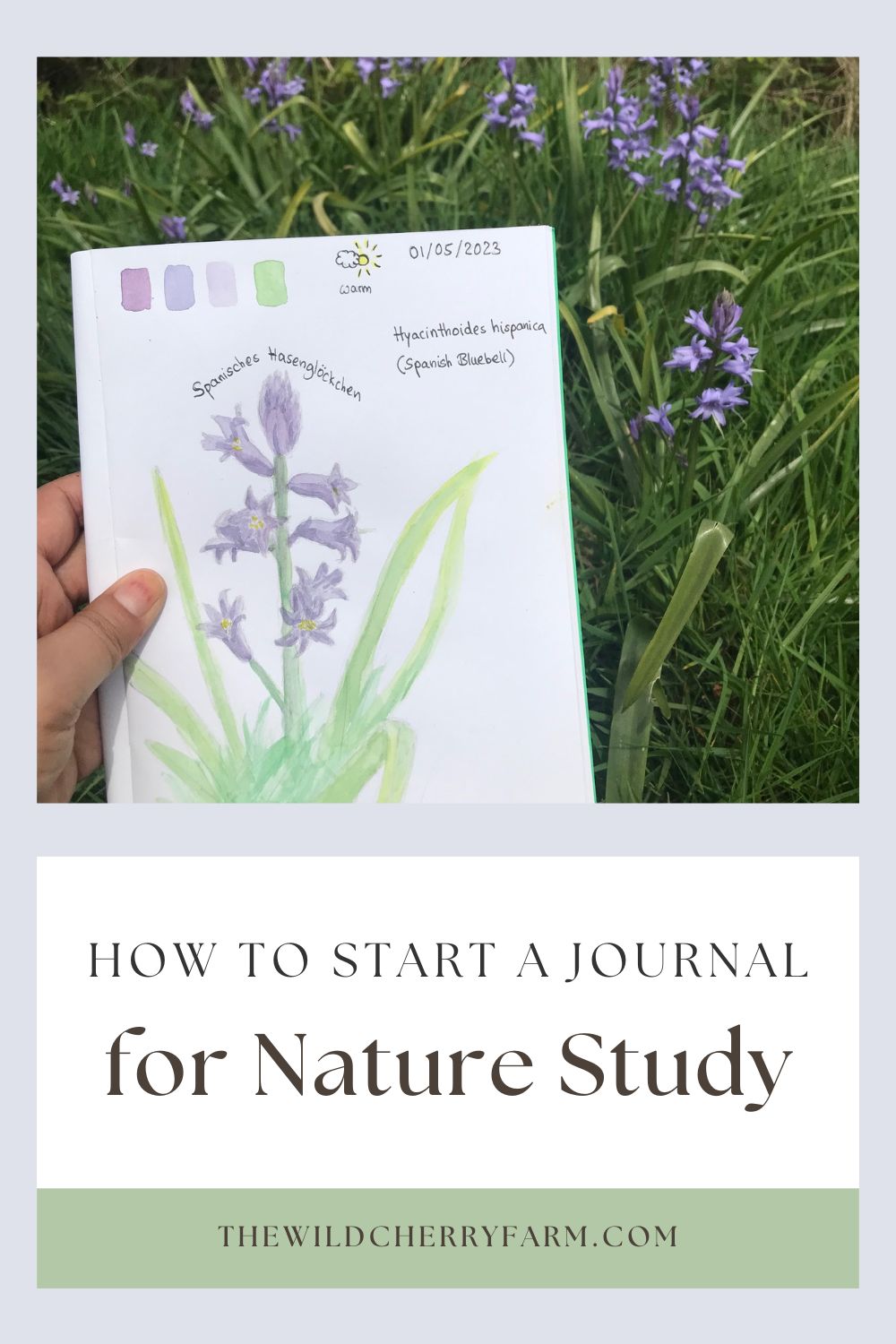 How to Start a Journal for Nature Study - The Wild Cherry Farm