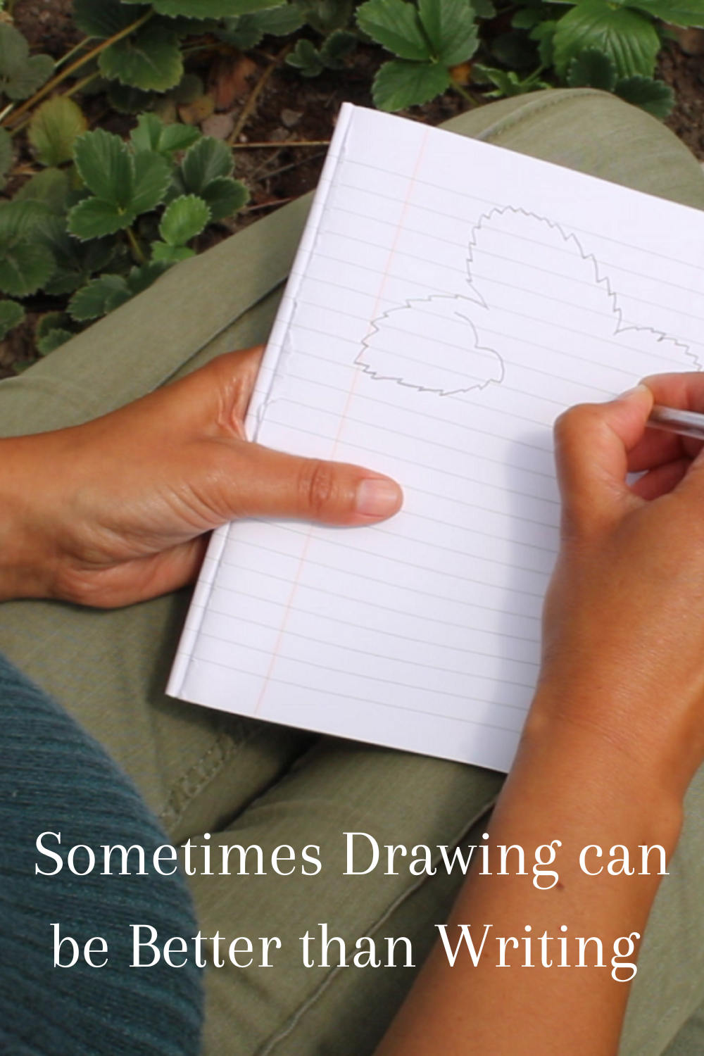 Sometimes Drawing is Better than Writing - The Wild Cherry Farm