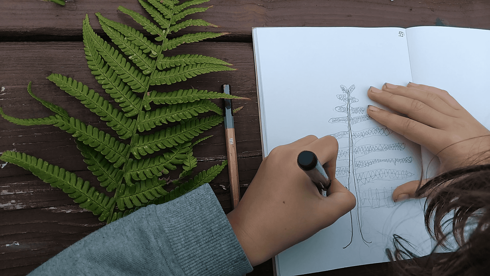 Early Spring Nature Study ~ How to Keep a Calendar of Firsts - The Wild ...