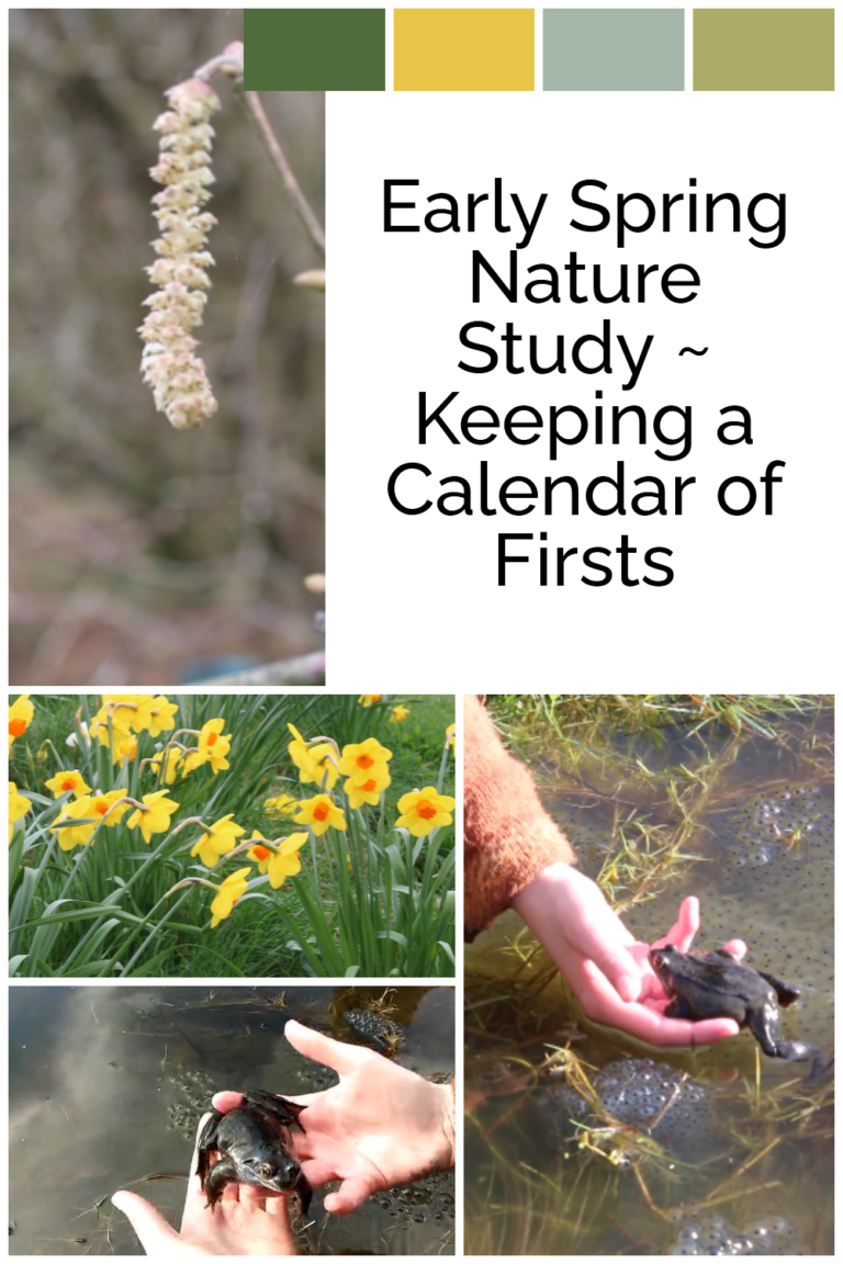 Early Spring Nature Study ~ How to Keep a Calendar of Firsts - The Wild ...
